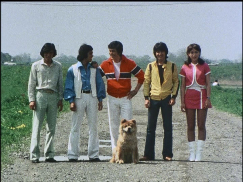 Nansô Satomi Hakkenden (南総 里見 八犬伝) = Chroniques de Huit Chiens ...
