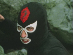 Kamen Rider - Shocker - Toku-Onna